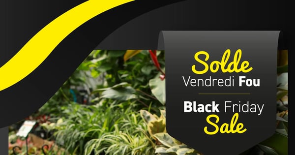 Vendredi Fou Centre de Jardin Brossard