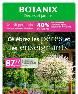 Circulaire en Ligne