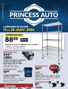 Princess Auto Pièces Outils Accessoires Automobile