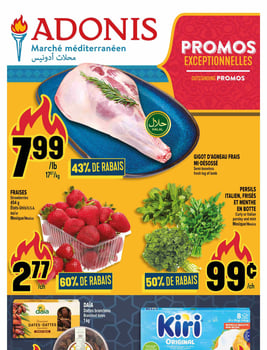 Circulaire Adonis à Venir