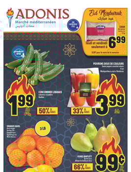 Circulaire Adonis Brossard