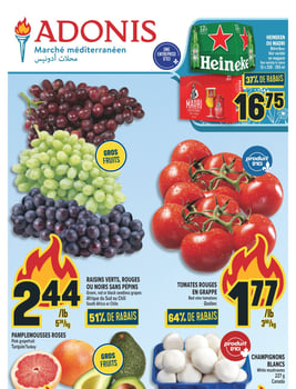 Circulaire Adonis Brossard