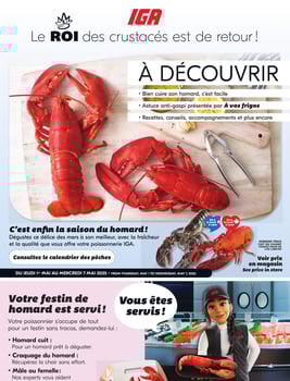 Circulaire IGA Magog