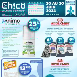 Circulaires à Venir des Magasins au Québec | Circulaire en ligne