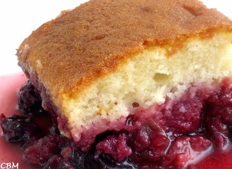 Gâteau Jeannette Renversé Petits Fruits et Rhubarbe