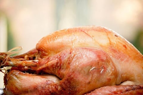 DINDE DE THANKSGIVING