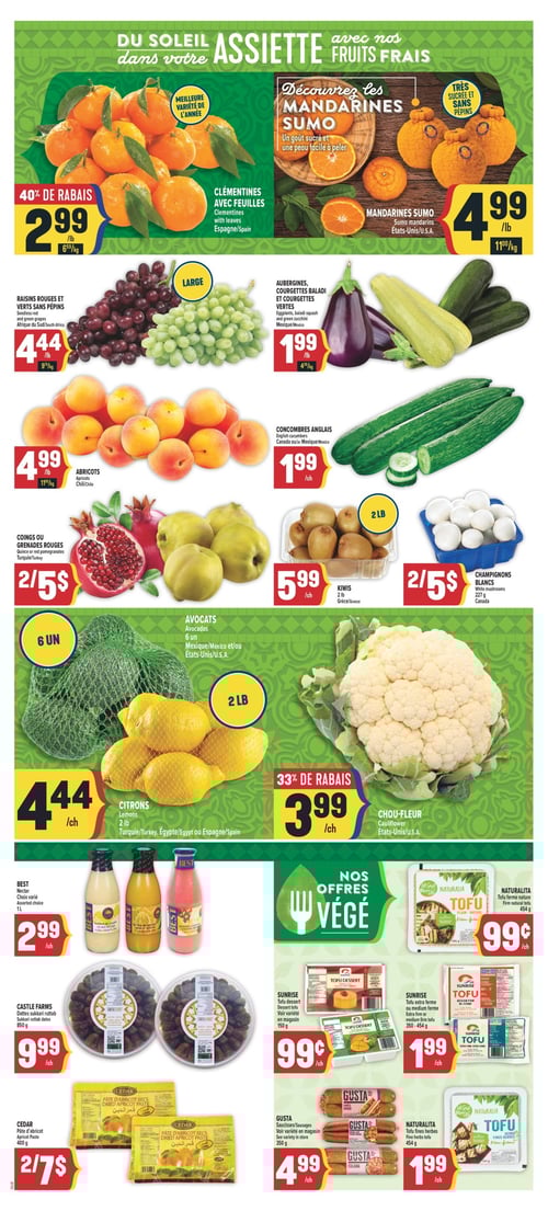 Circulaire Adonis à Venir