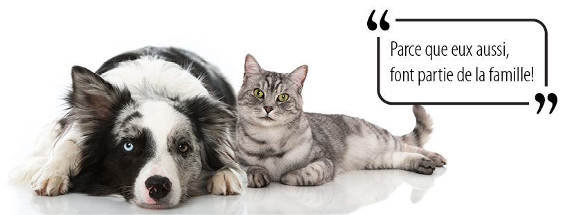 Animo etc - Nourriture, Accessoires et Toilettage pour animaux