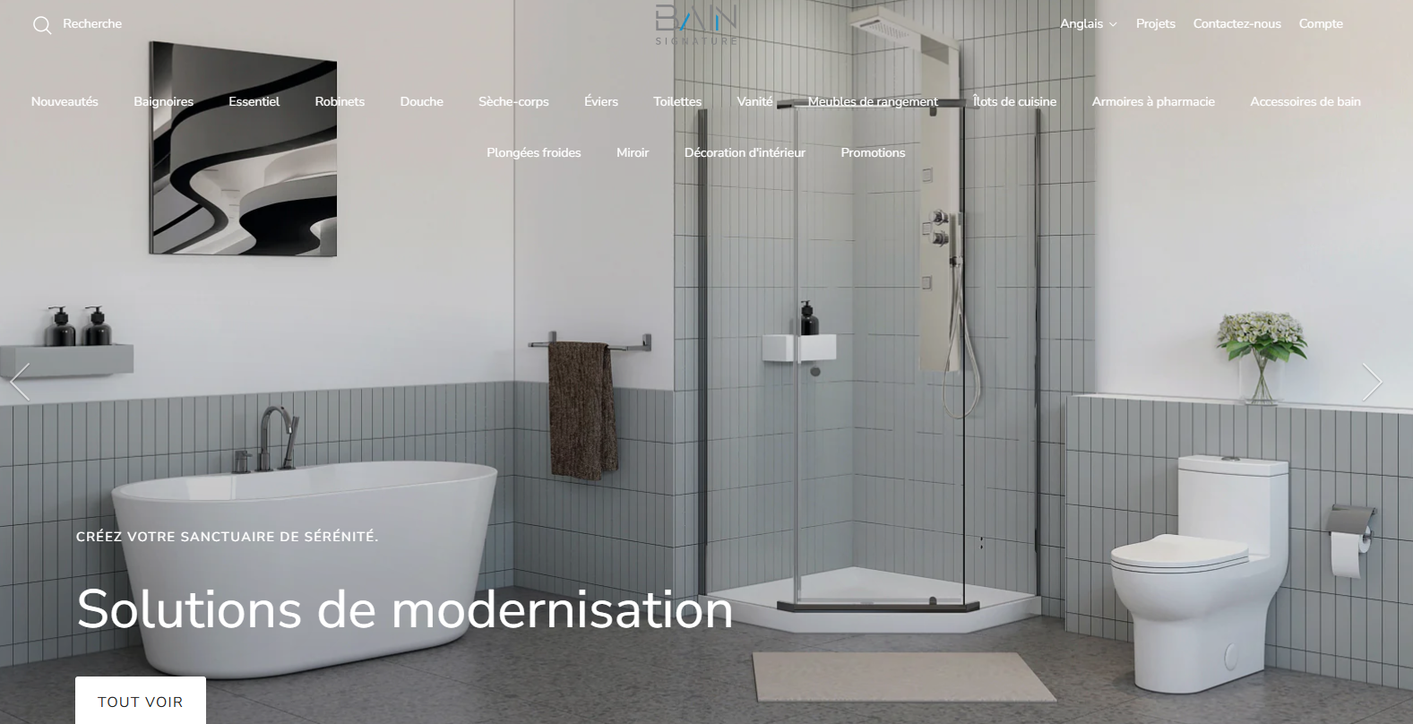 Bain Signature - Solutions Complètes pour la Salle de Bain