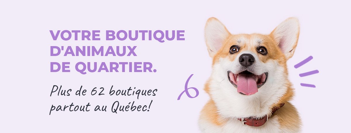 Chico Boutique d'Animaux