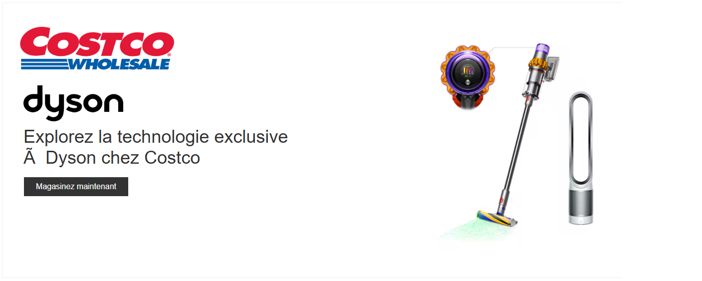 Dyson Costco