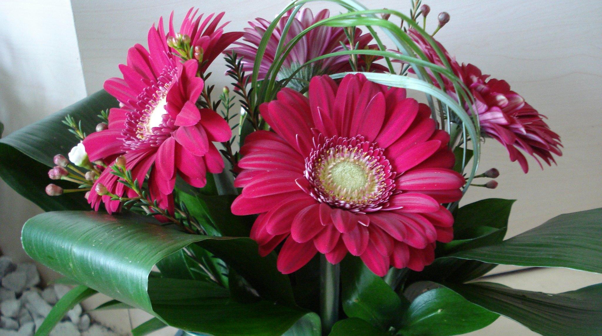 Fleurina - Boutique de Fleurs