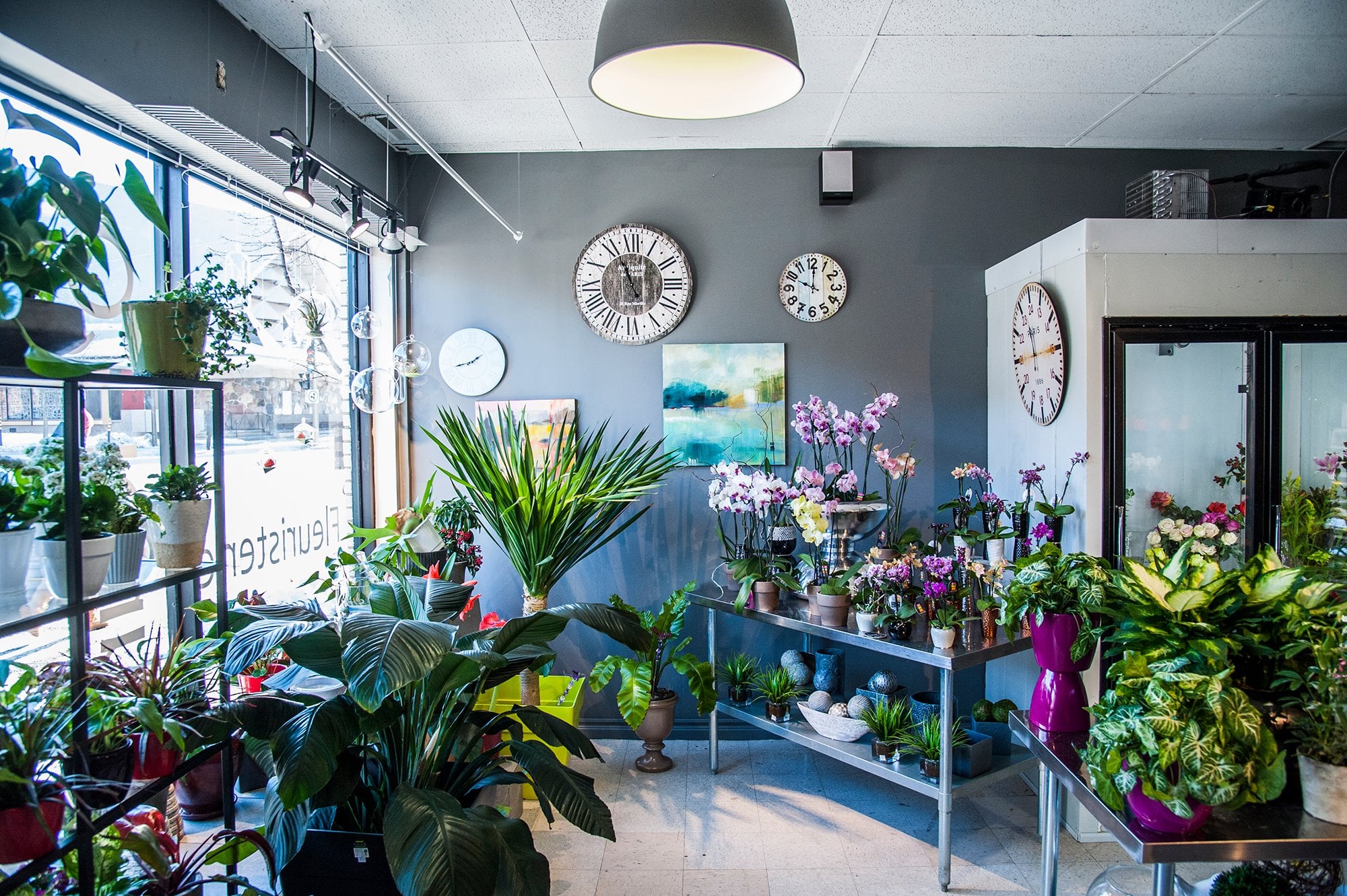 Fleuristerie O'Fleurs - Boutique de Fleurs