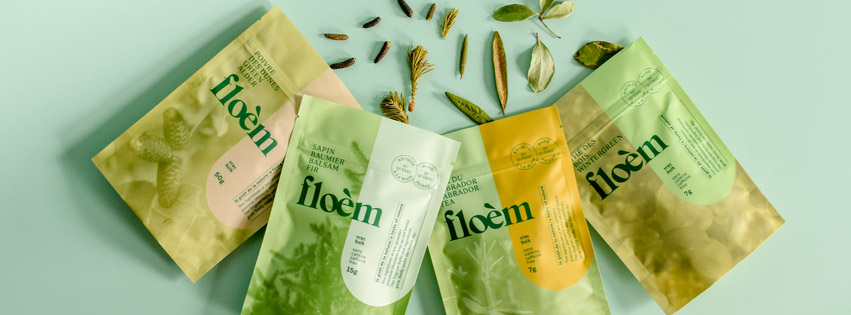 Floèm - Infusion Boréale