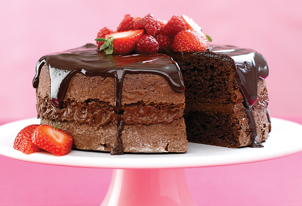 Gâteau Glacé au Chocolat et à la Crème Sure