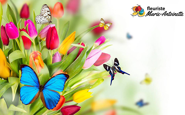 Fleuriste Marie-Antoinette