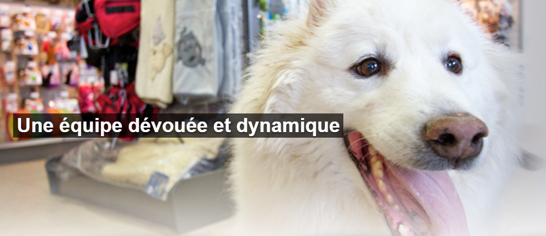 Groupe Vétérinaire Vetcom