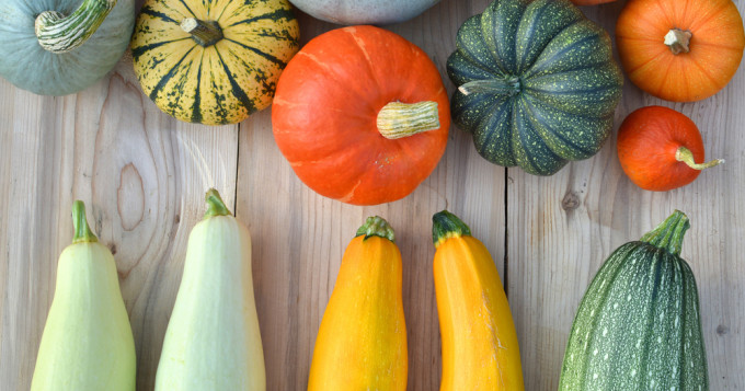 Quelle est la Différence entre une Courge et une Courgette